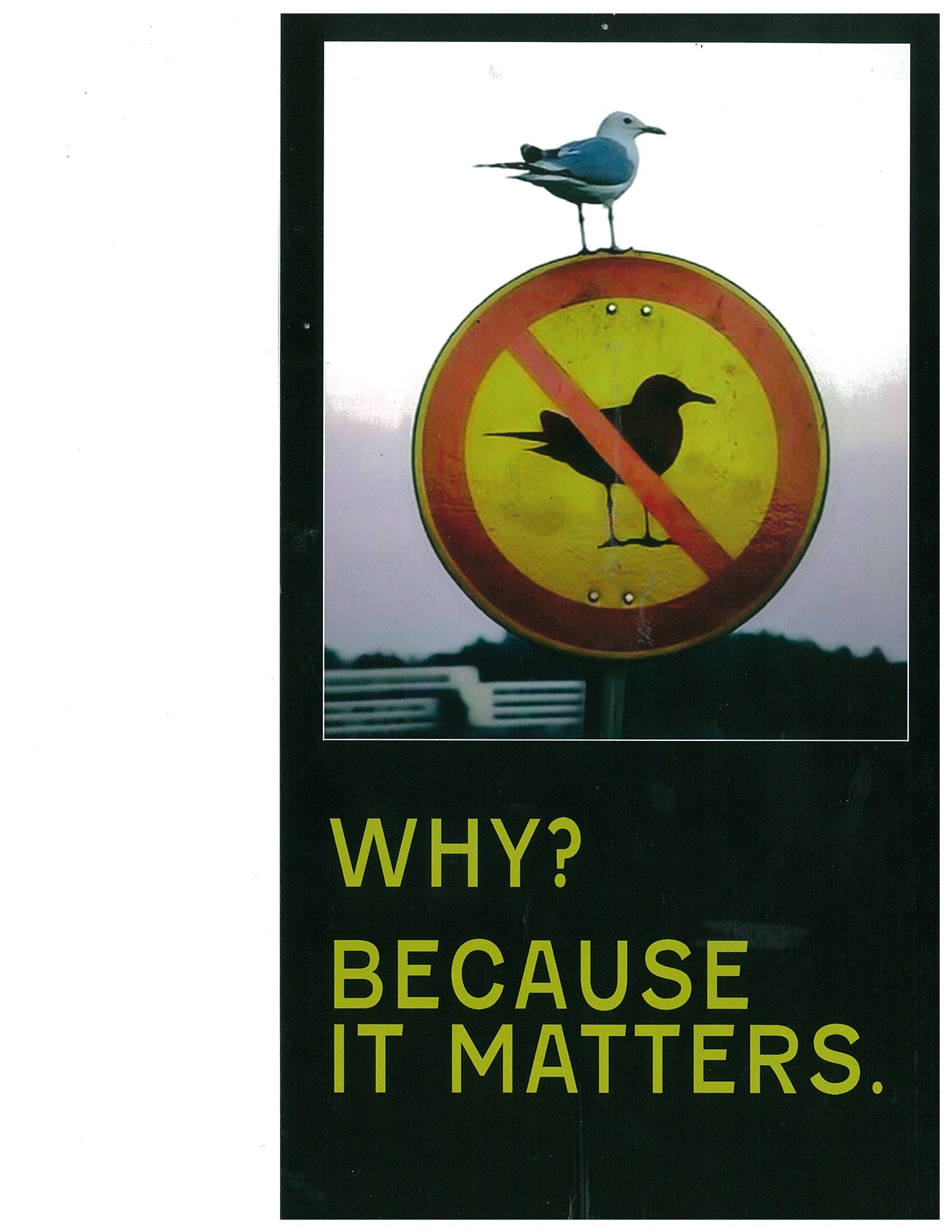 Because it Matters – phil invites